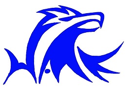 Shanghai Fighting Hawk Logistics Co., Ltd. - WCAworld Member Profile ...